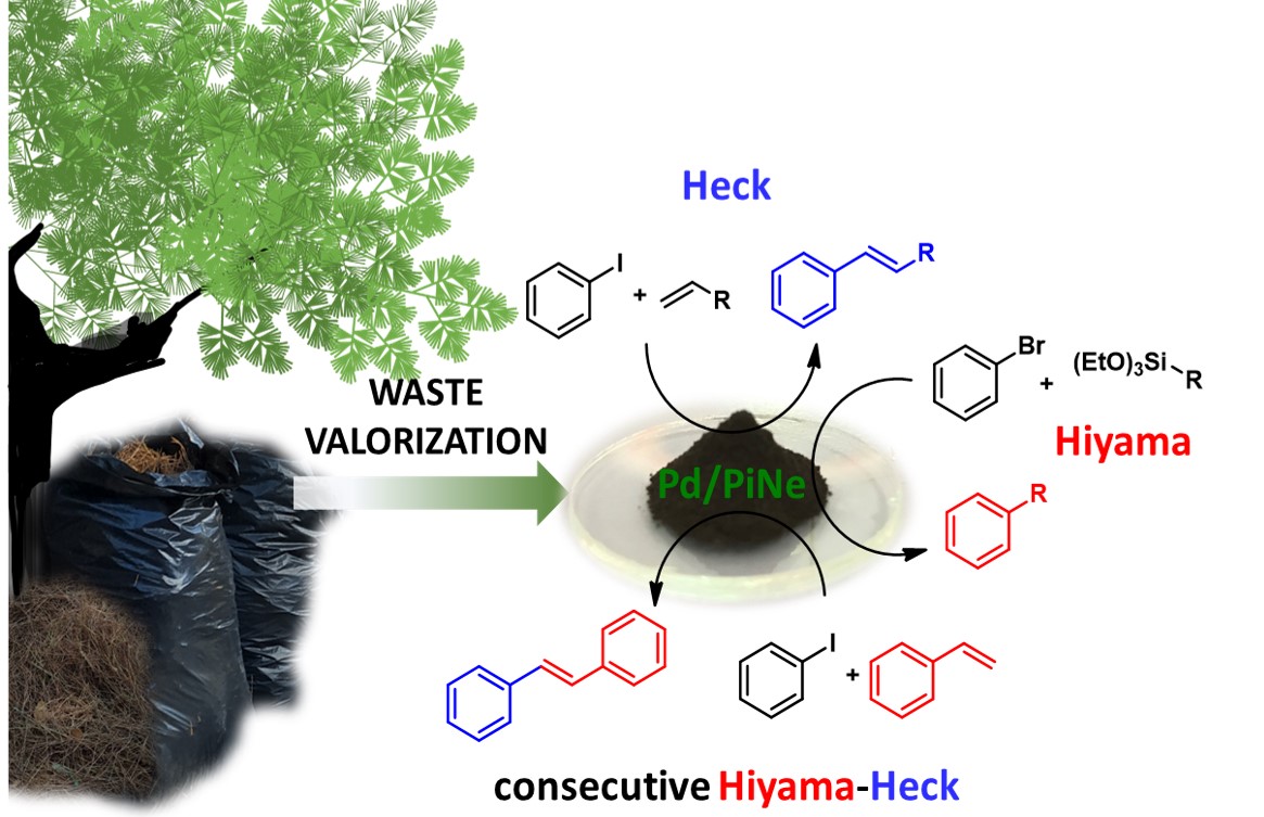 Pine Needles, from urban waste to effective heterogeneous catalyst ...
